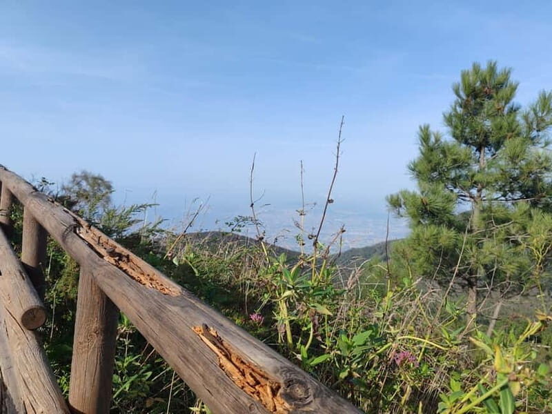 From Naples: Explore Herculaneum Ruins and Vesuvius