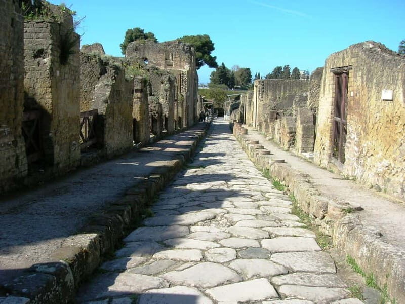 From Naples: Explore Herculaneum Ruins and Vesuvius